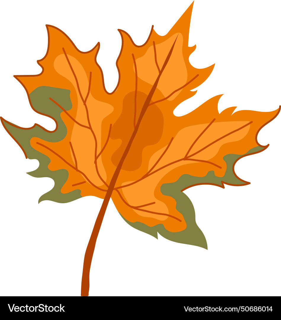 Red maple leaf cartoon Royalty Free Vector Image
