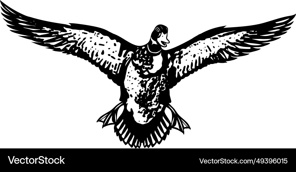 Mallard Duck Head Silhouette