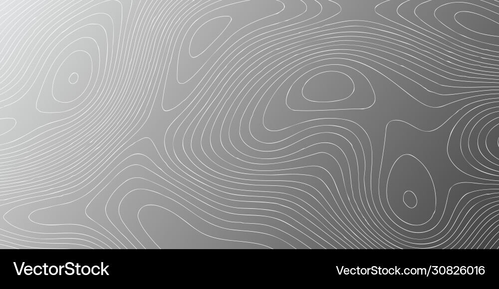 Banner template with topography contour design Vector Image