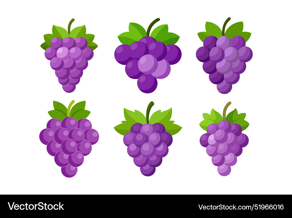 Grape art for digital and print media Royalty Free Vector
