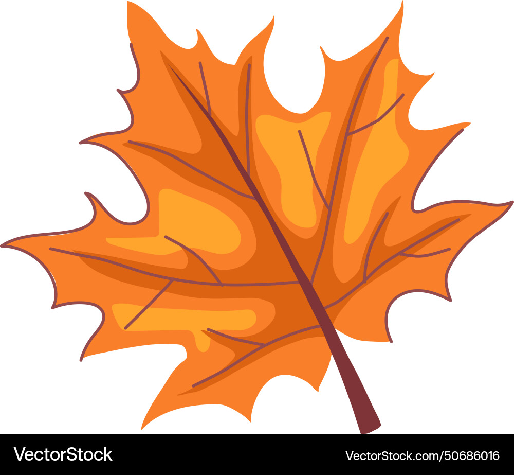 Ground maple leaf cartoon Royalty Free Vector Image