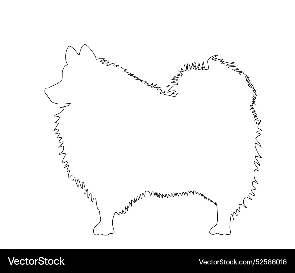 Line contour spitz dog isolated Royalty Free Vector Image