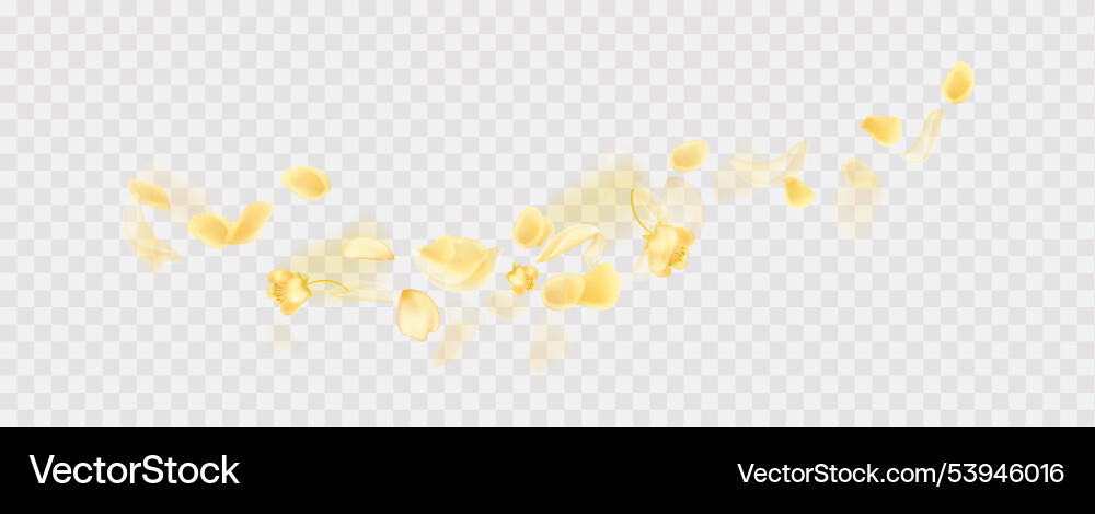 Yellow falling rose or sunflowers petals Vector Image