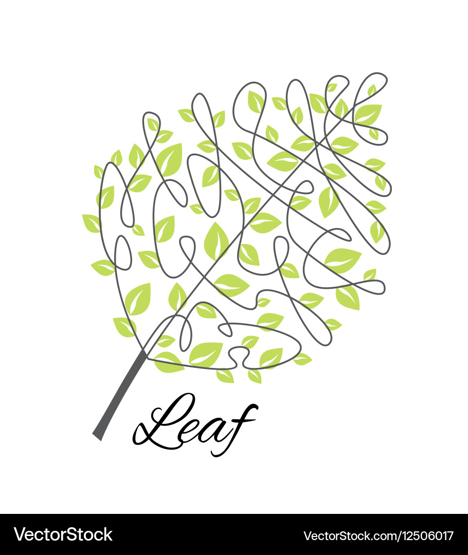 Decorative leaf Royalty Free Vector Image - VectorStock