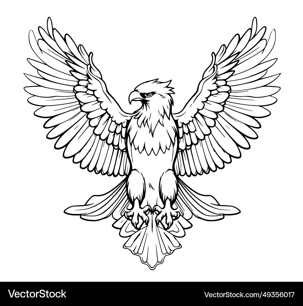Eagle heraldic sketch hand drawn Royalty Free Vector Image