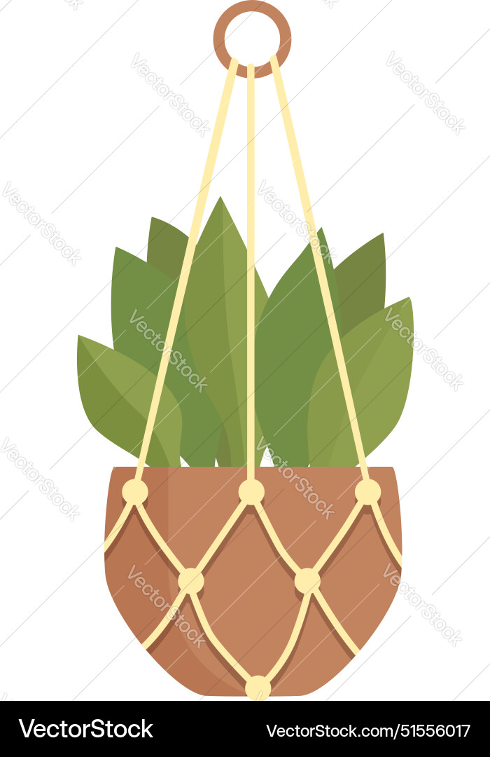 Green home plant hanging in macrame hanger Vector Image