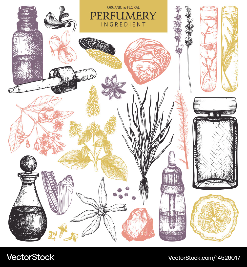 Vintage perfumery and cosmetics set Royalty Free Vector