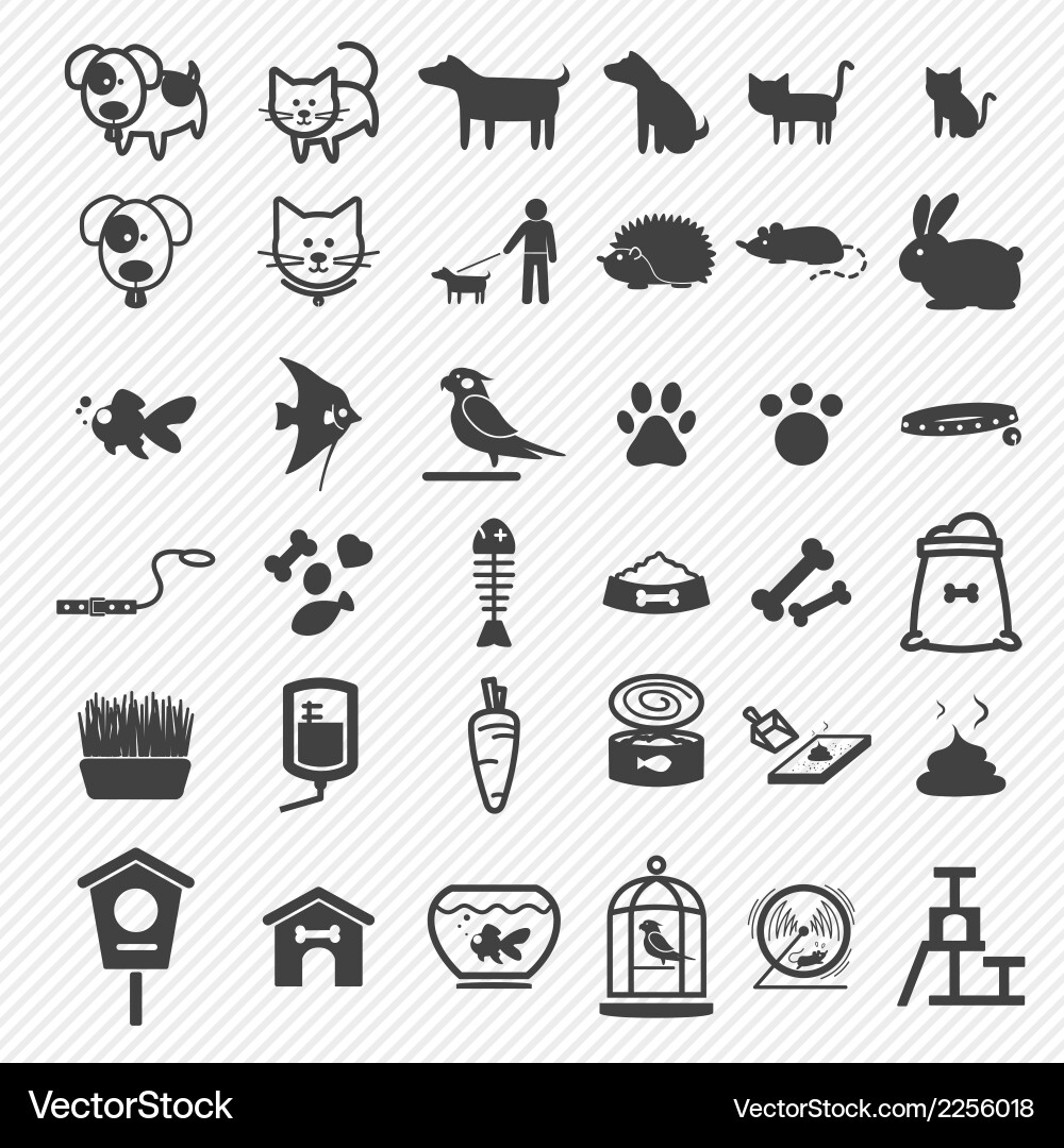 Pet icons set Royalty Free Vector Image - VectorStock