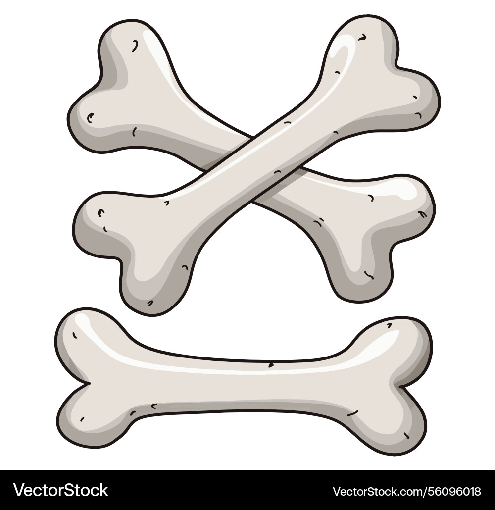 Set of human bone skeleton elements includes Vector Image