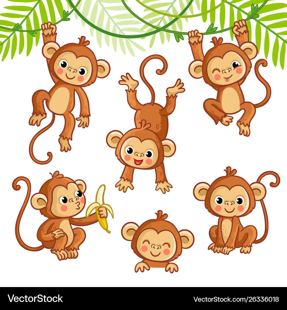 Smiling Monkey Vector Images (over 14,000)