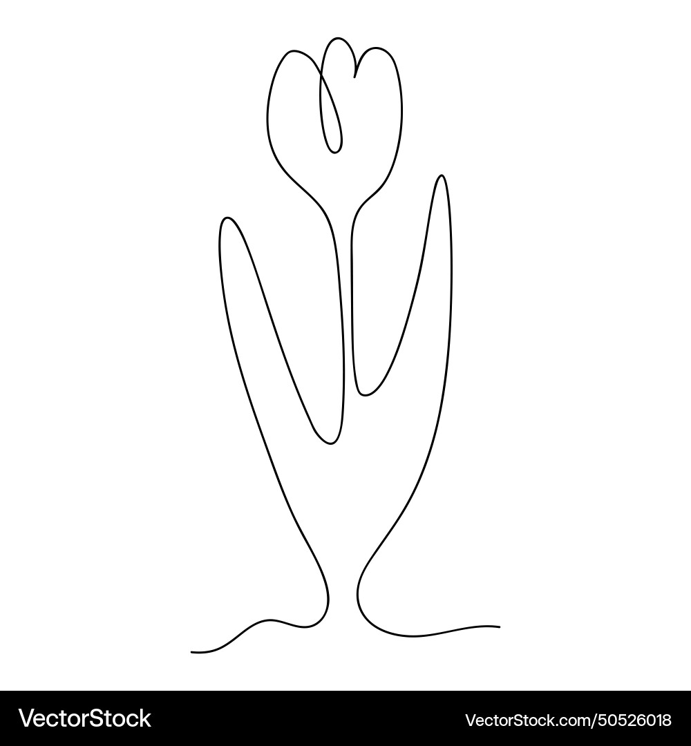 Tulip continuous one line drawing Royalty Free Vector Image