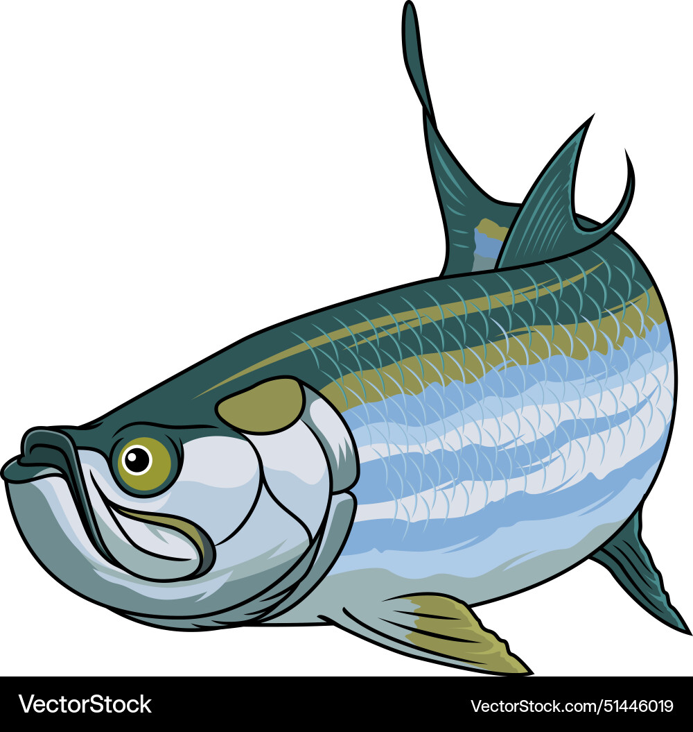 Tarpon Fishing Logo Royalty Free Vector Image - VectorStock