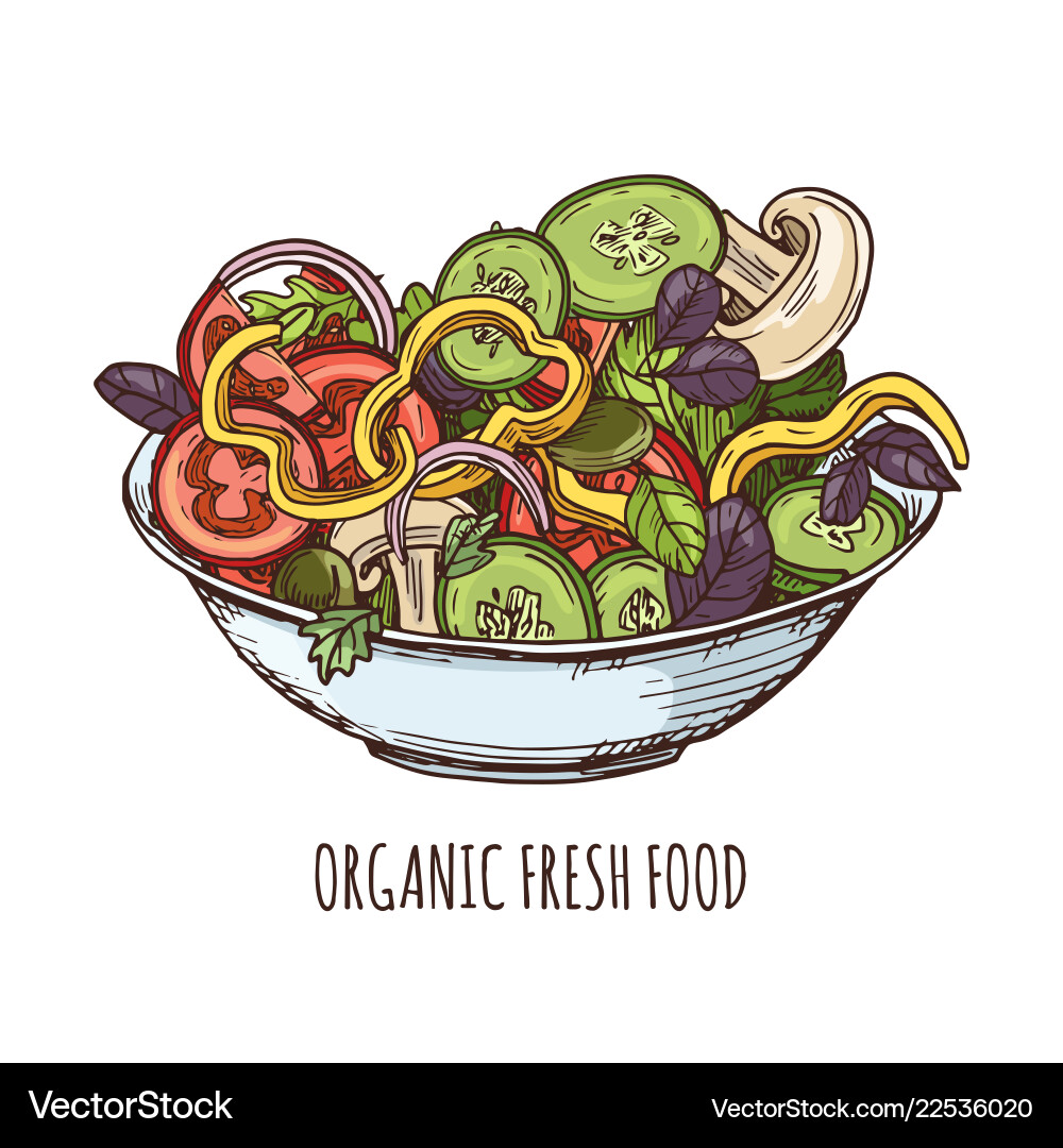 Fresh Green Salad Bowl Royalty Free Vector Image