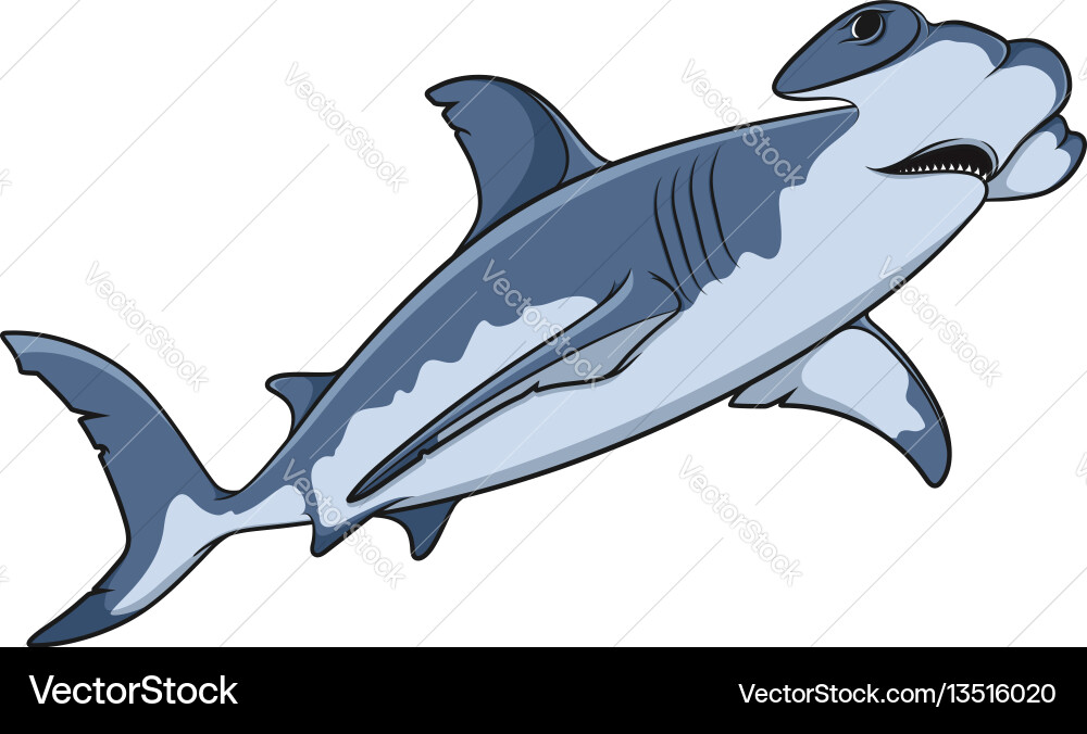 Hammerhead Shark Cartoon Royalty Free Vector Image