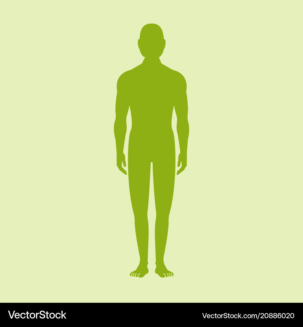 Male human body silhouette with shadow – Free Vector | VectorStock