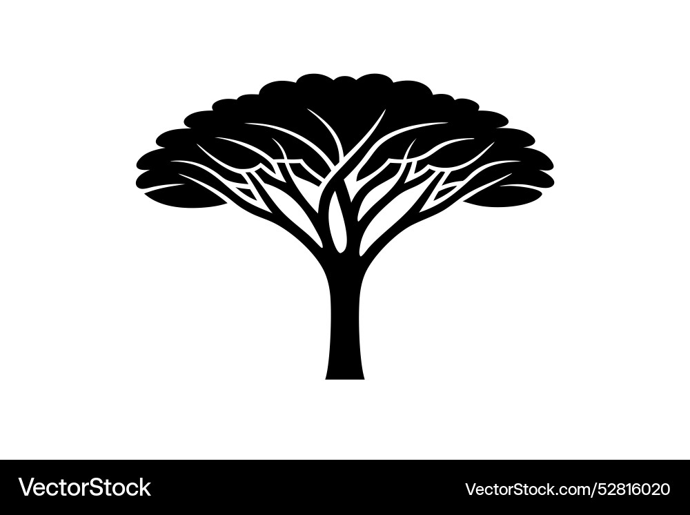 Modern safari tree - elegant and minimalist Vector Image