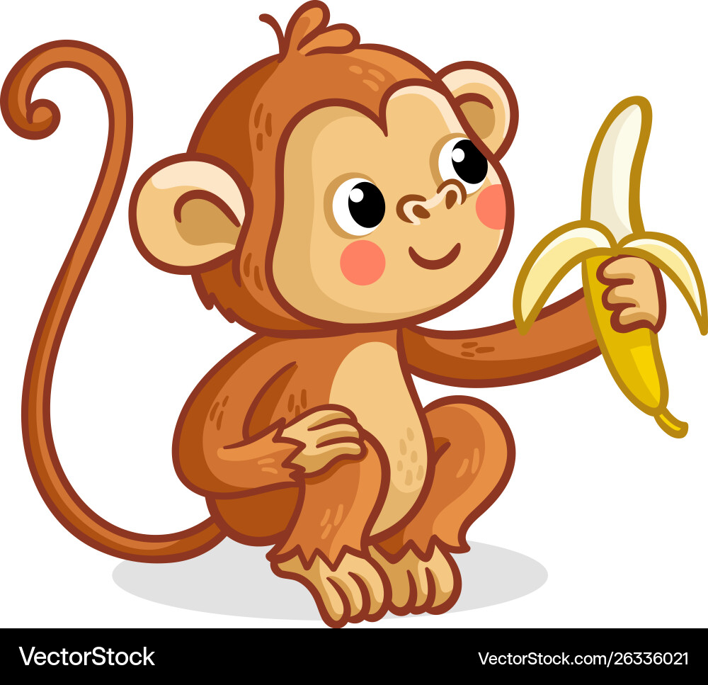 Monkey on a white background eats banana Vector Image