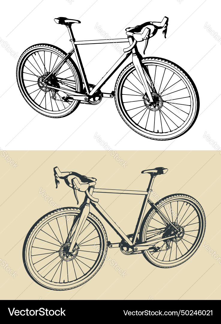 Road bike Royalty Free Vector Image - VectorStock