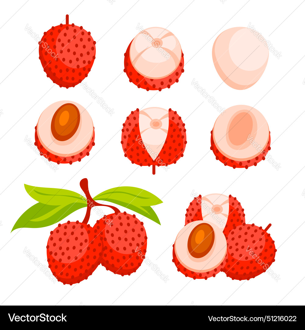 Lychee set of fresh red tropical fruit whole Vector Image