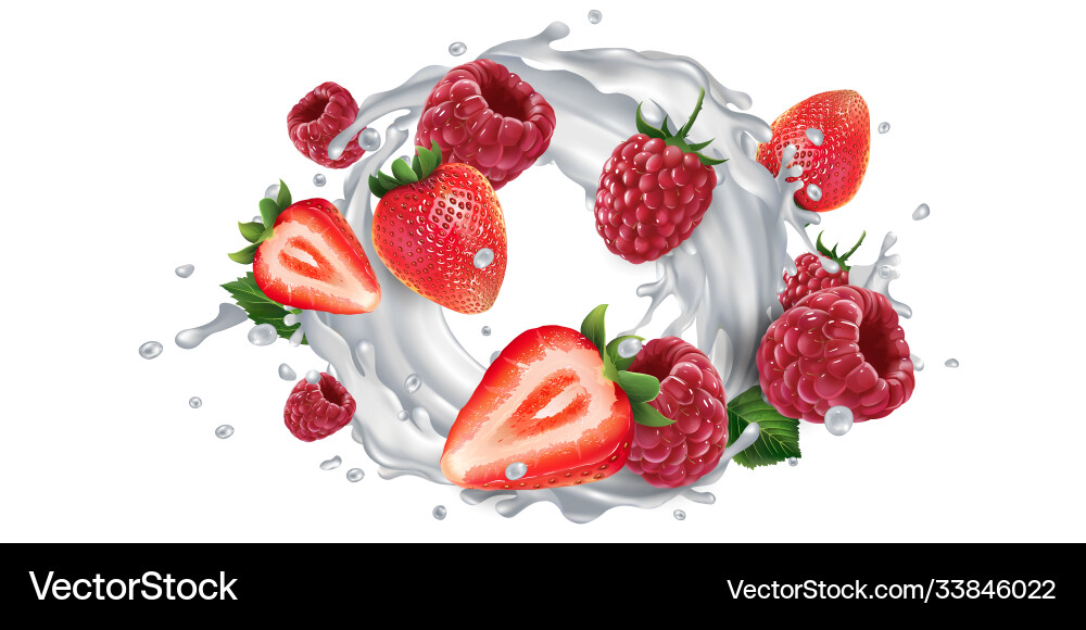 Strawberries and raspberries a splash milk Vector Image