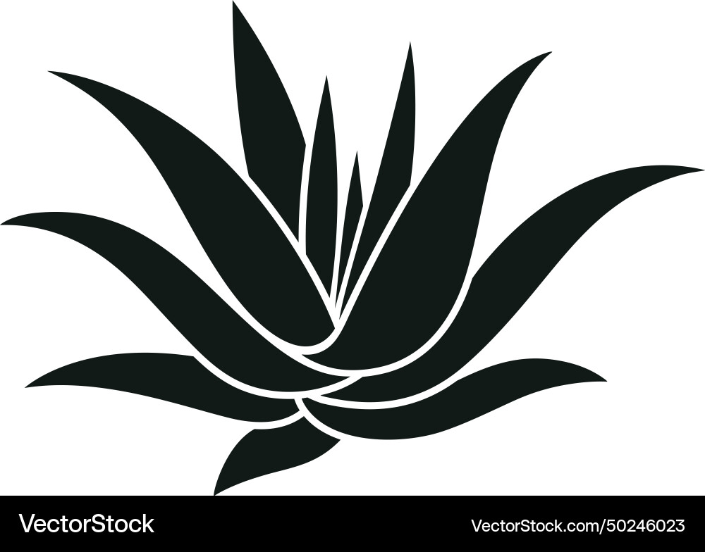 Agave Royalty Free Vector Image - VectorStock