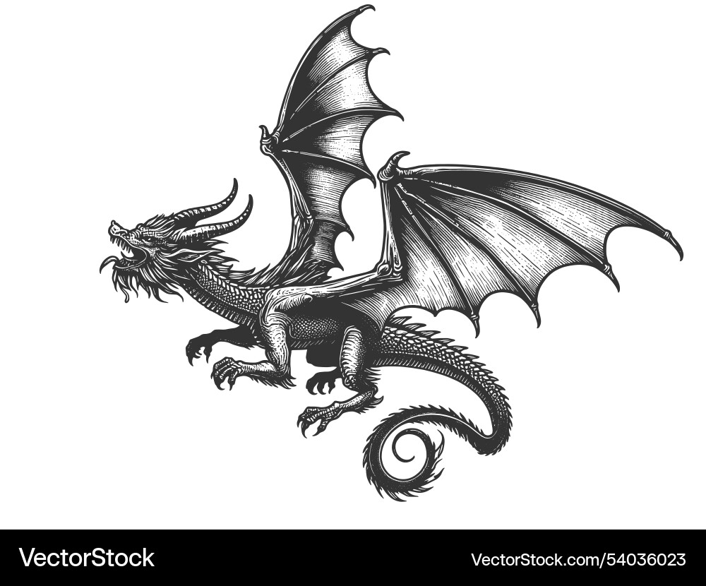 Intricate dragon engraving Royalty Free Vector Image