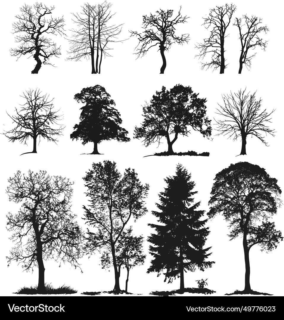 Set of trees silhouettes Royalty Free Vector Image