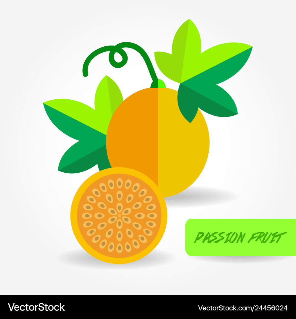 Fresh fruit from nature Royalty Free Vector Image