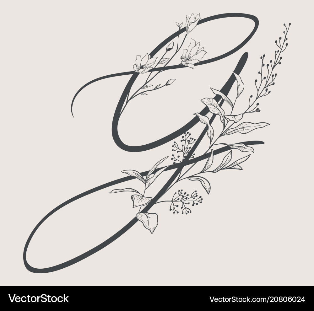 Calligraphy Lettering Script Font G Vector Images (over 280)