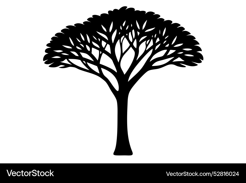 Modern safari tree - elegant and minimalist Vector Image