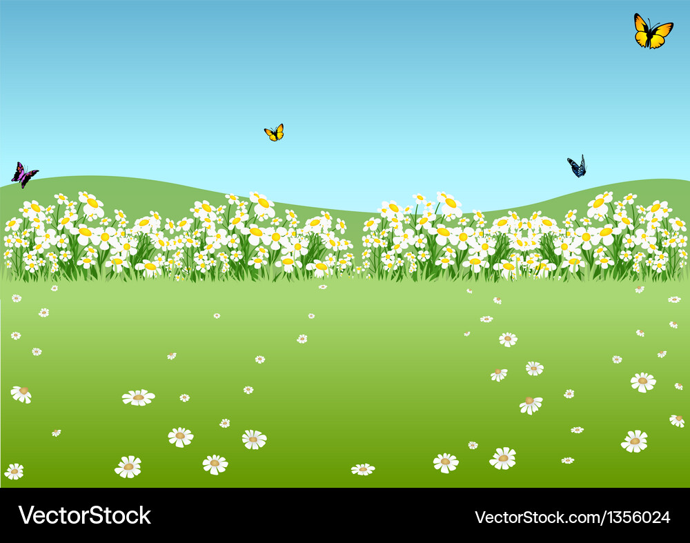 Spring meadow Royalty Free Vector Image - VectorStock