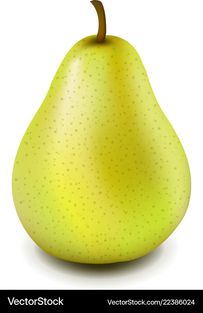 Yellow pear isolated Royalty Free Vector Image