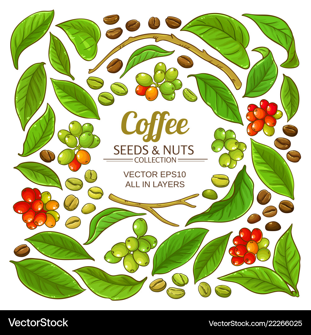 Coffee elements set Royalty Free Vector Image - VectorStock