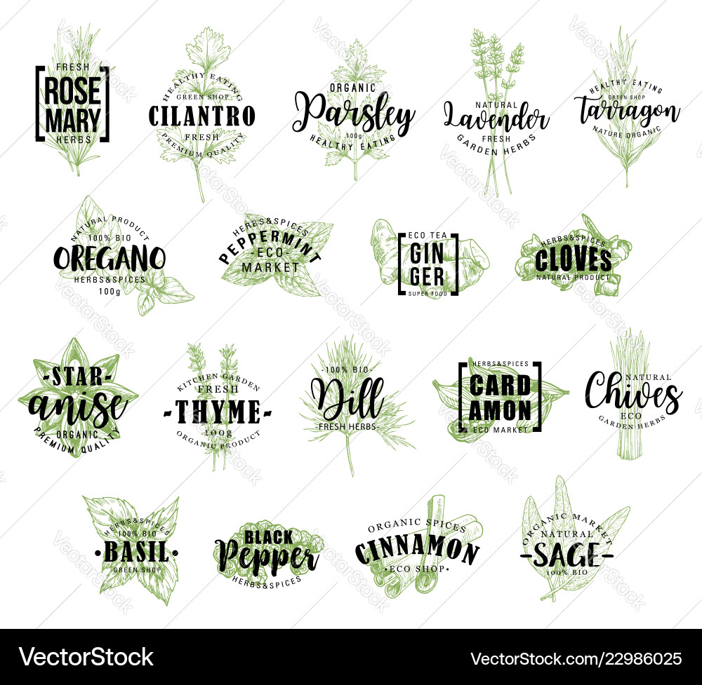 Oregano Logo Vector Images (over 280)
