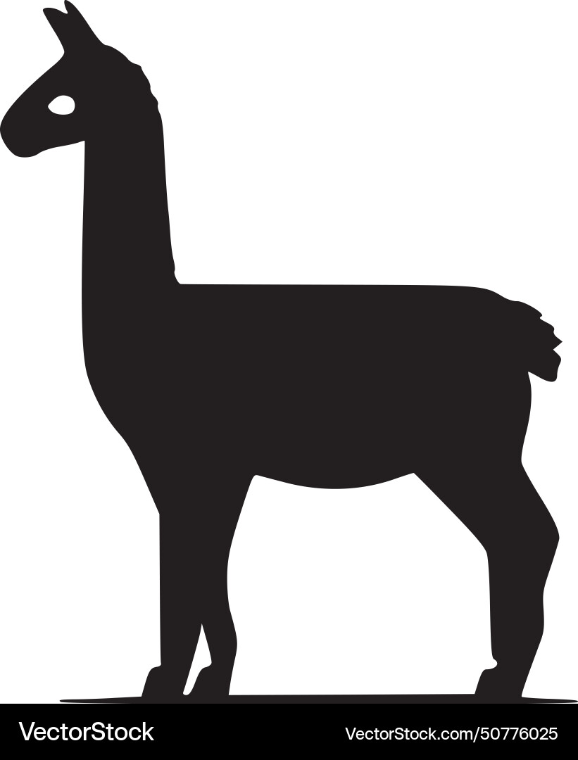 Llama - black and white Royalty Free Vector Image