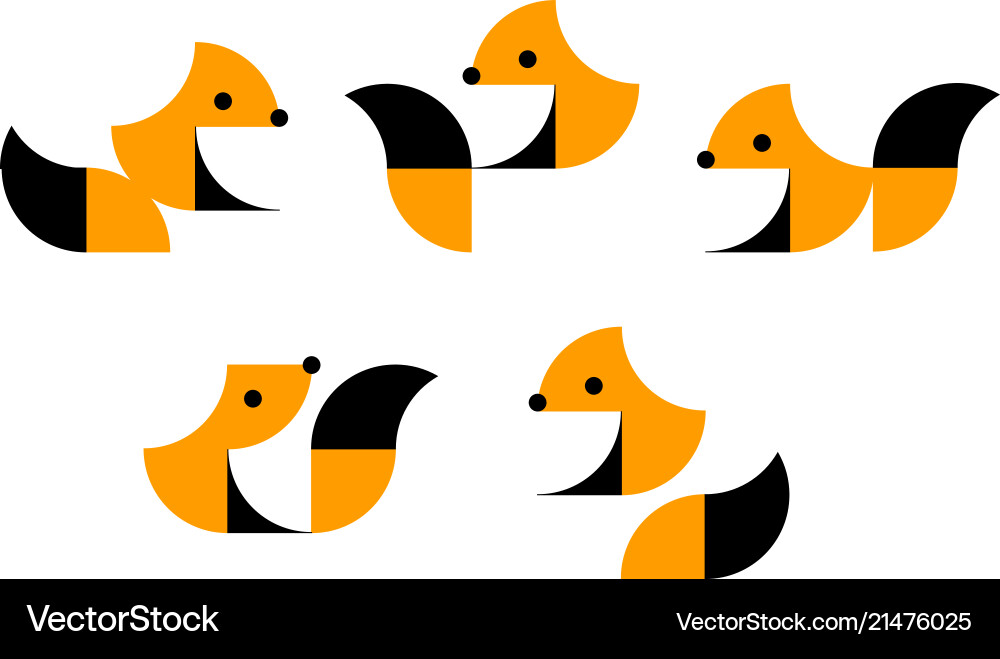 Squirrel Royalty Free Vector Image - VectorStock