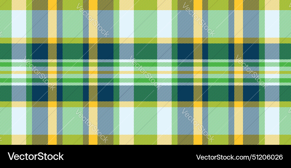 Repeating textile tartan fabric exotic plaid Vector Image