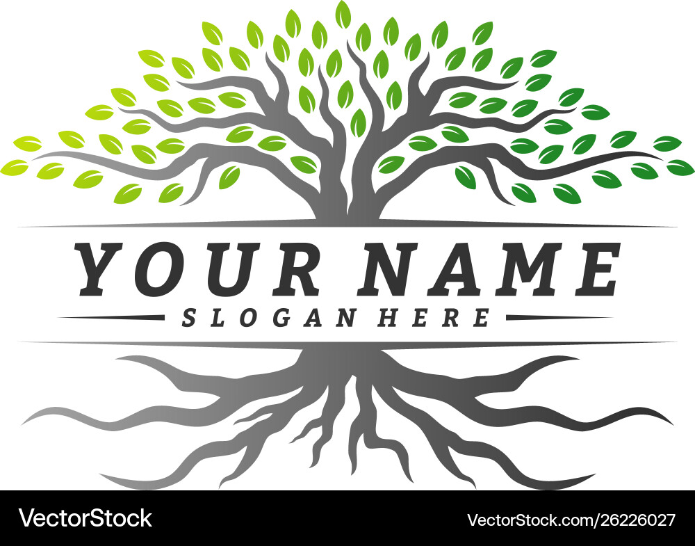 Colorful vibrant tree logo design concept root Vector Image