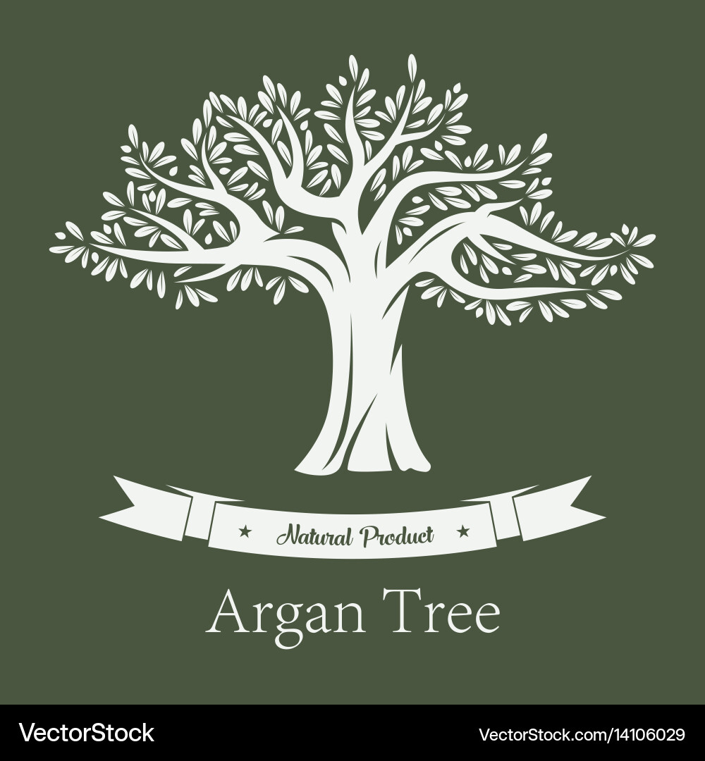 Argania tree or argan fruit plant Royalty Free Vector Image