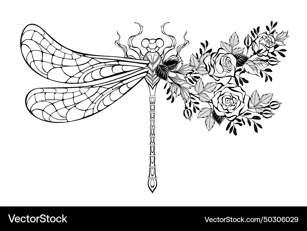 Flower dragonfly with contour rose Royalty Free Vector Image