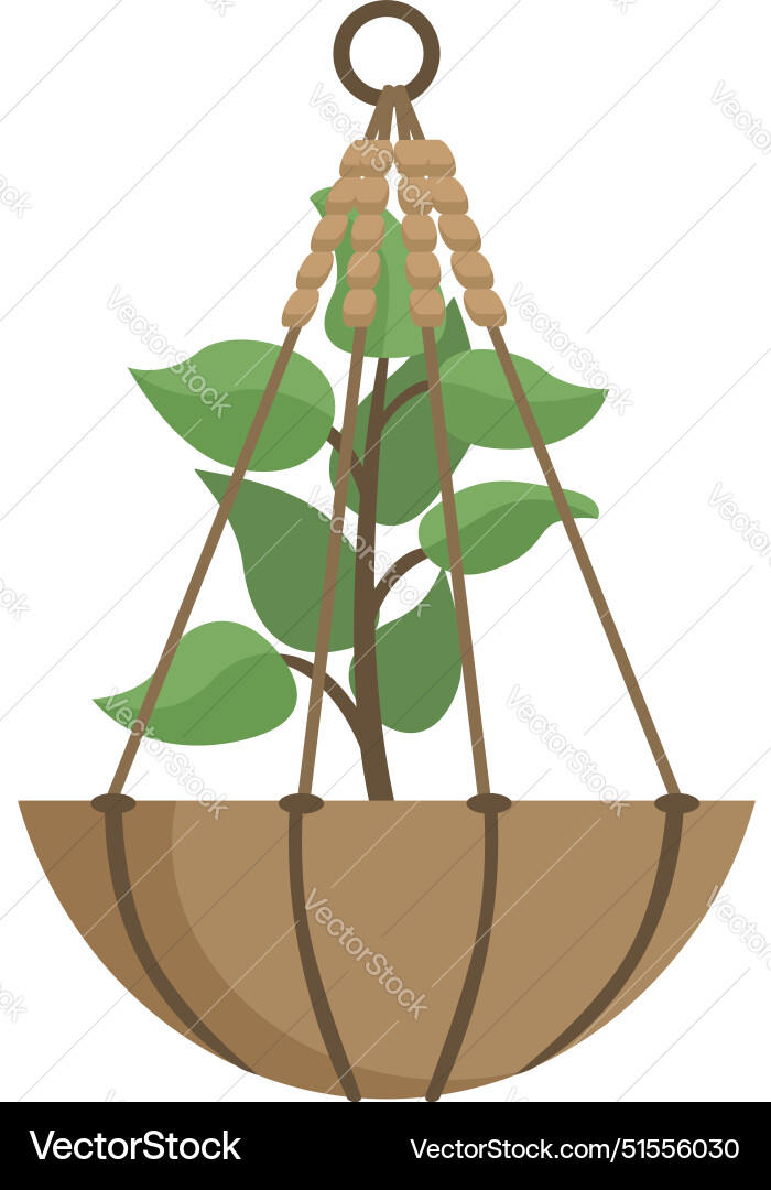 Small tree growing in a hanging pot is suspended Vector Image