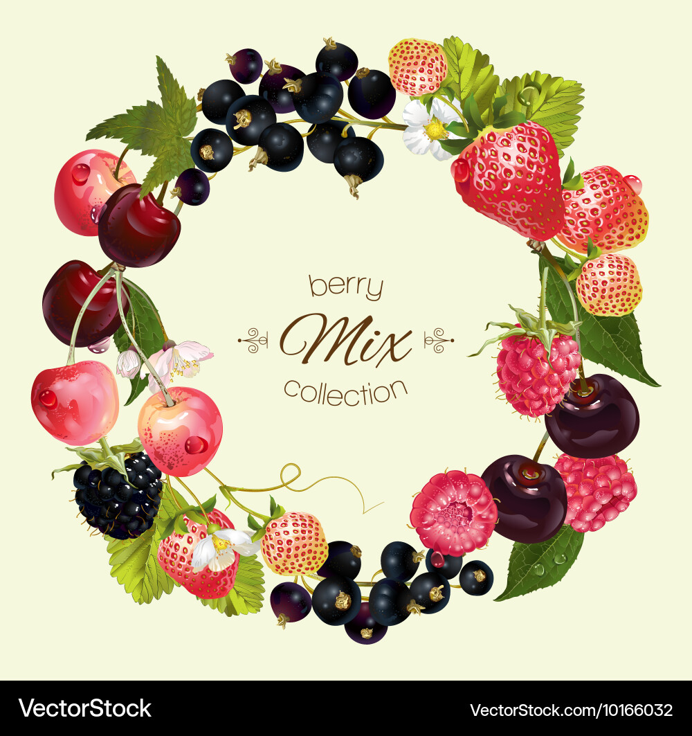 Berry mix composition Royalty Free Vector Image