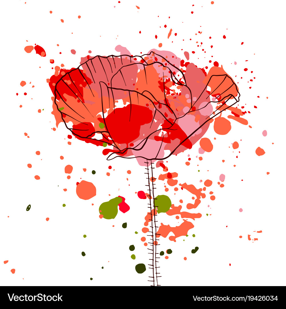 Drawing poppy flower Royalty Free Vector Image