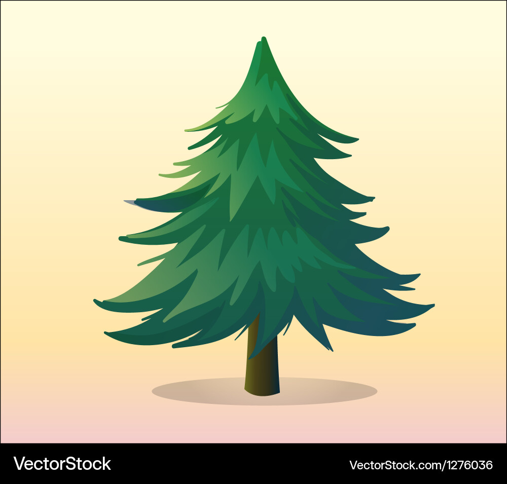 A big pine tree Royalty Free Vector Image - VectorStock