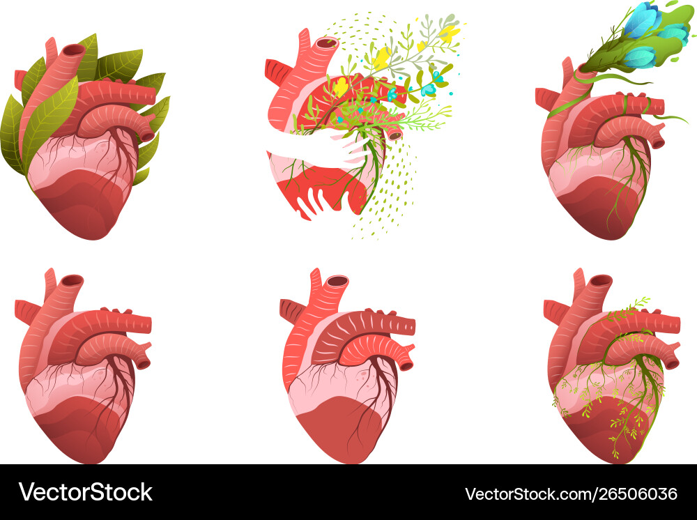Heart & Bloom Medical Art Royalty Free Vector Image