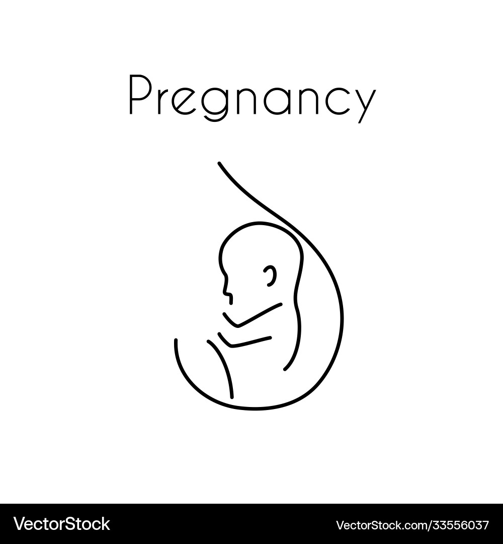 Fetale Entwicklung Icon - Schwangerschaft Vektorbild