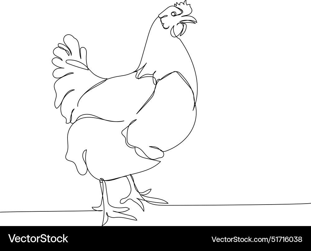 Chicken poultry rooster one line art continuous Vector Image