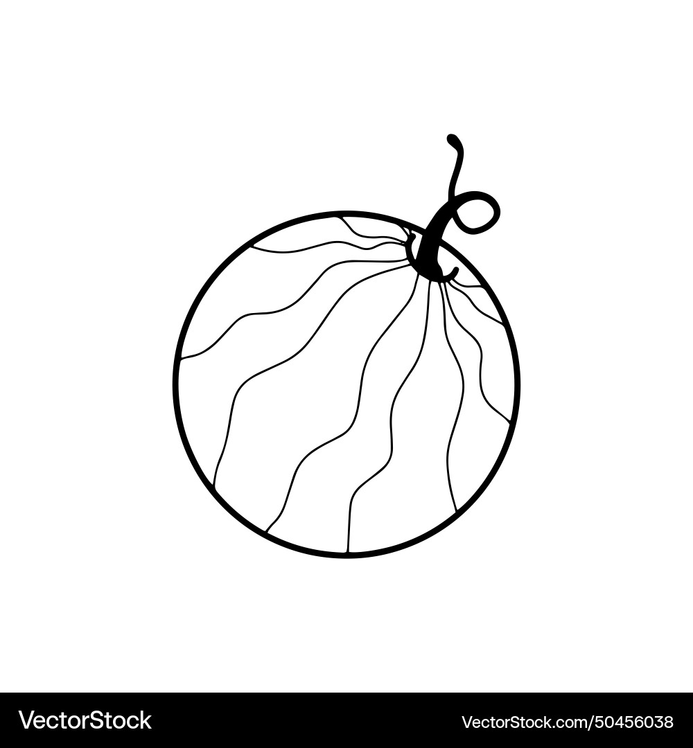 Watermelon black and white Royalty Free Vector Image
