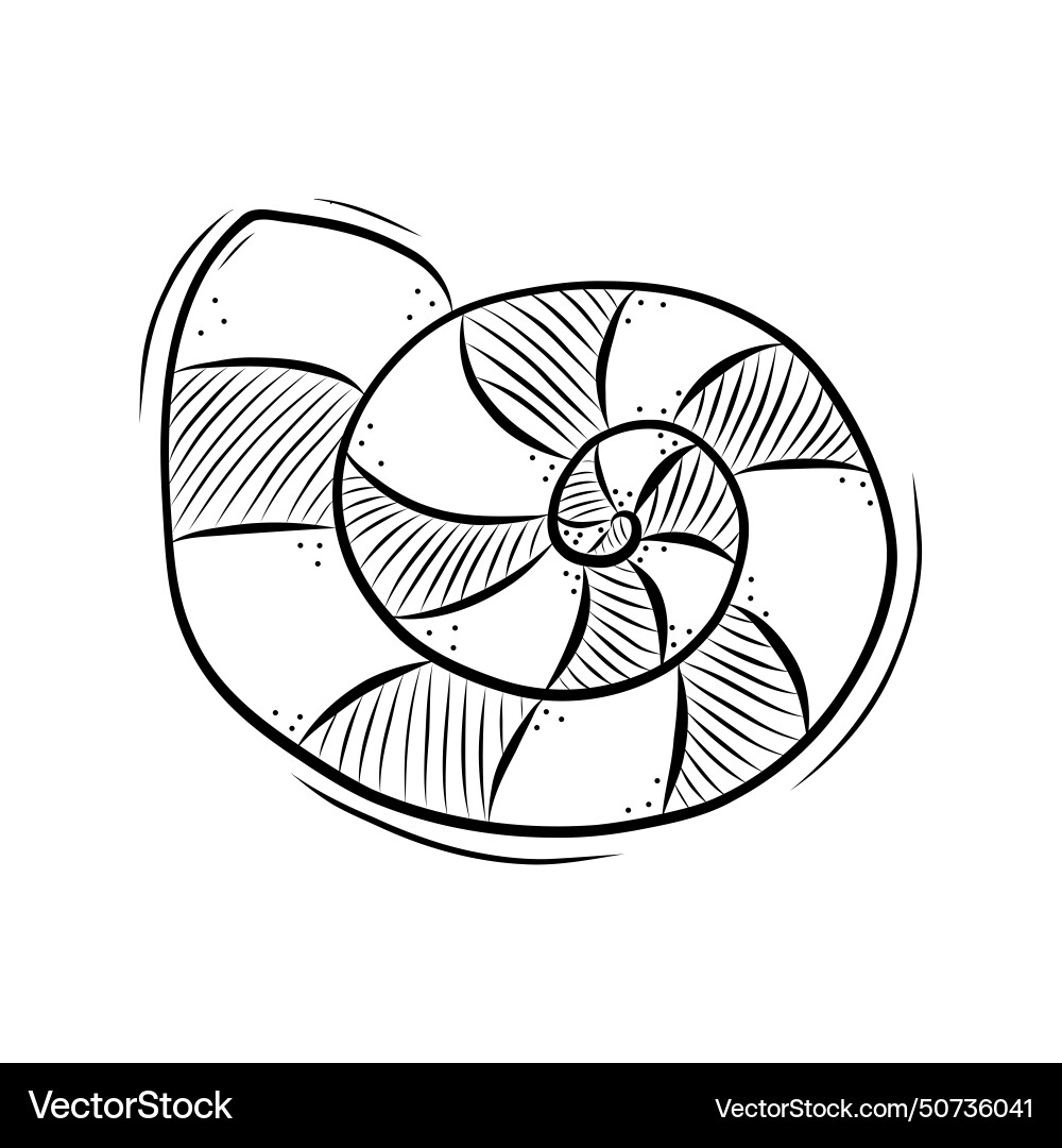 Sea shell in doodle style Royalty Free Vector Image