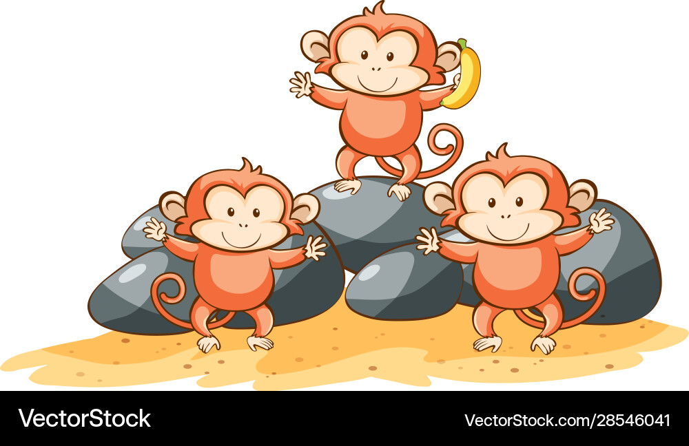 Three monkeys on white background Royalty Free Vector Image